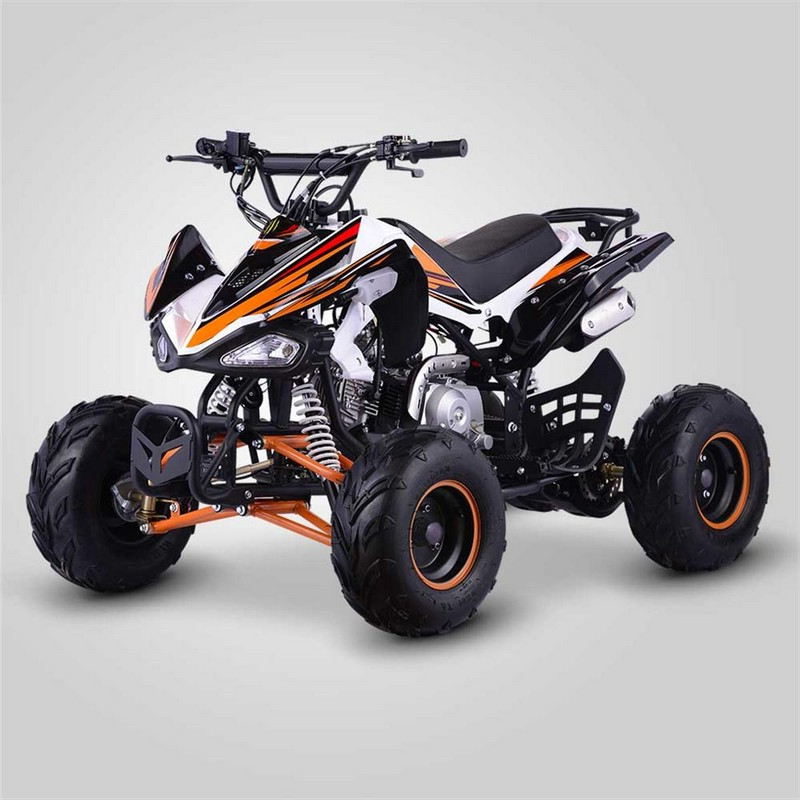 Guide d'achat de quads homologués : quel quad choisir pour un achat Guide d'achat de quads homologués : quel quad choisir pour un achat